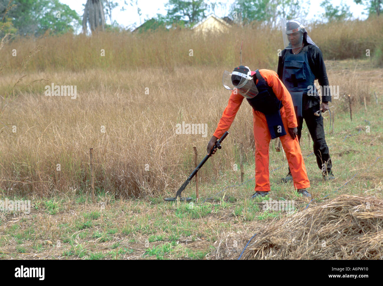 Landmine disposal expert with a trainee learning how to detect land ...