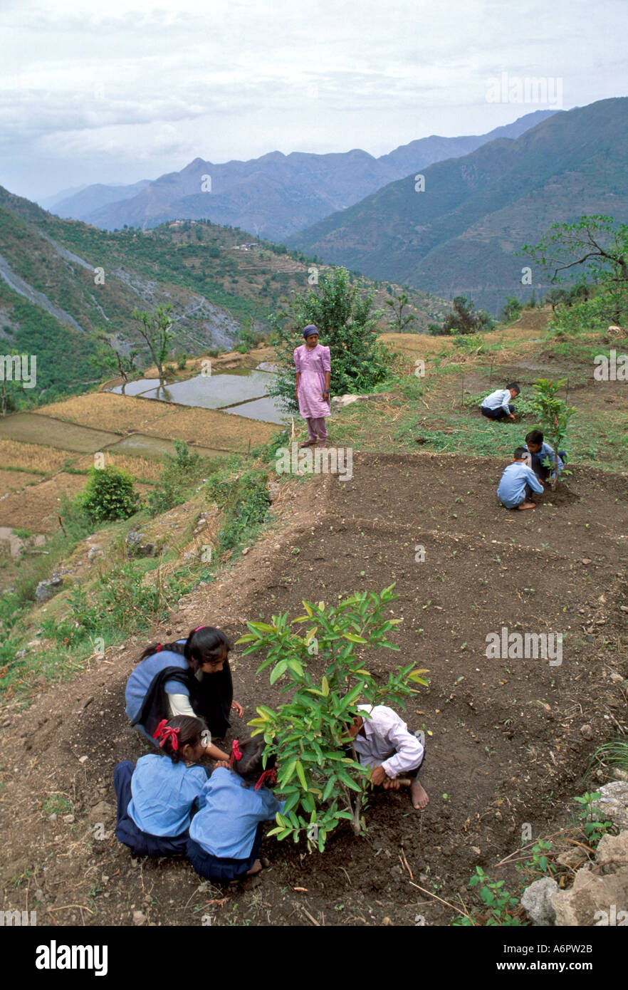 Schoolchildren planting trees and vegetables in their school garden in ...