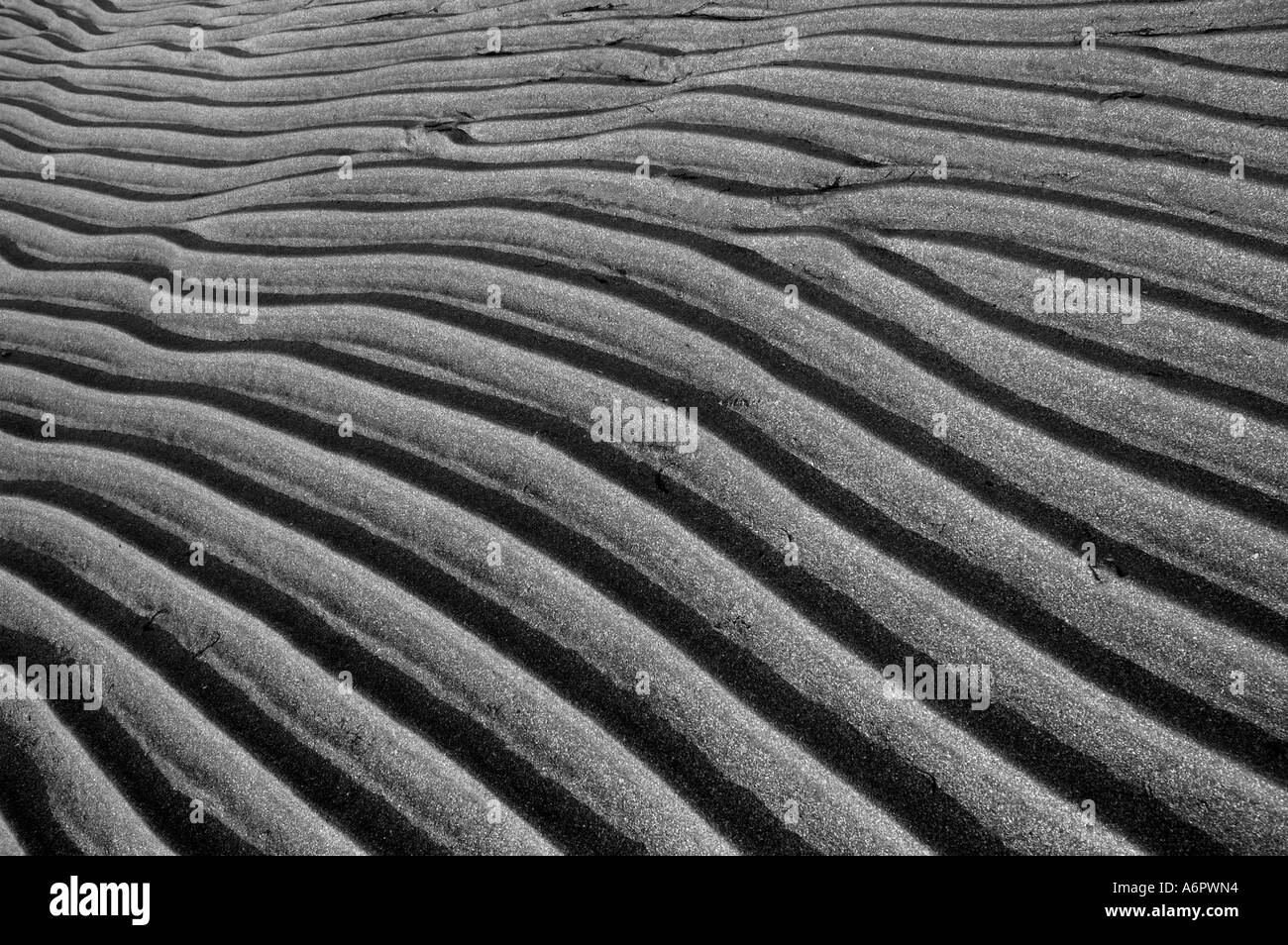Black sand beach art hi-res stock photography and images - Alamy