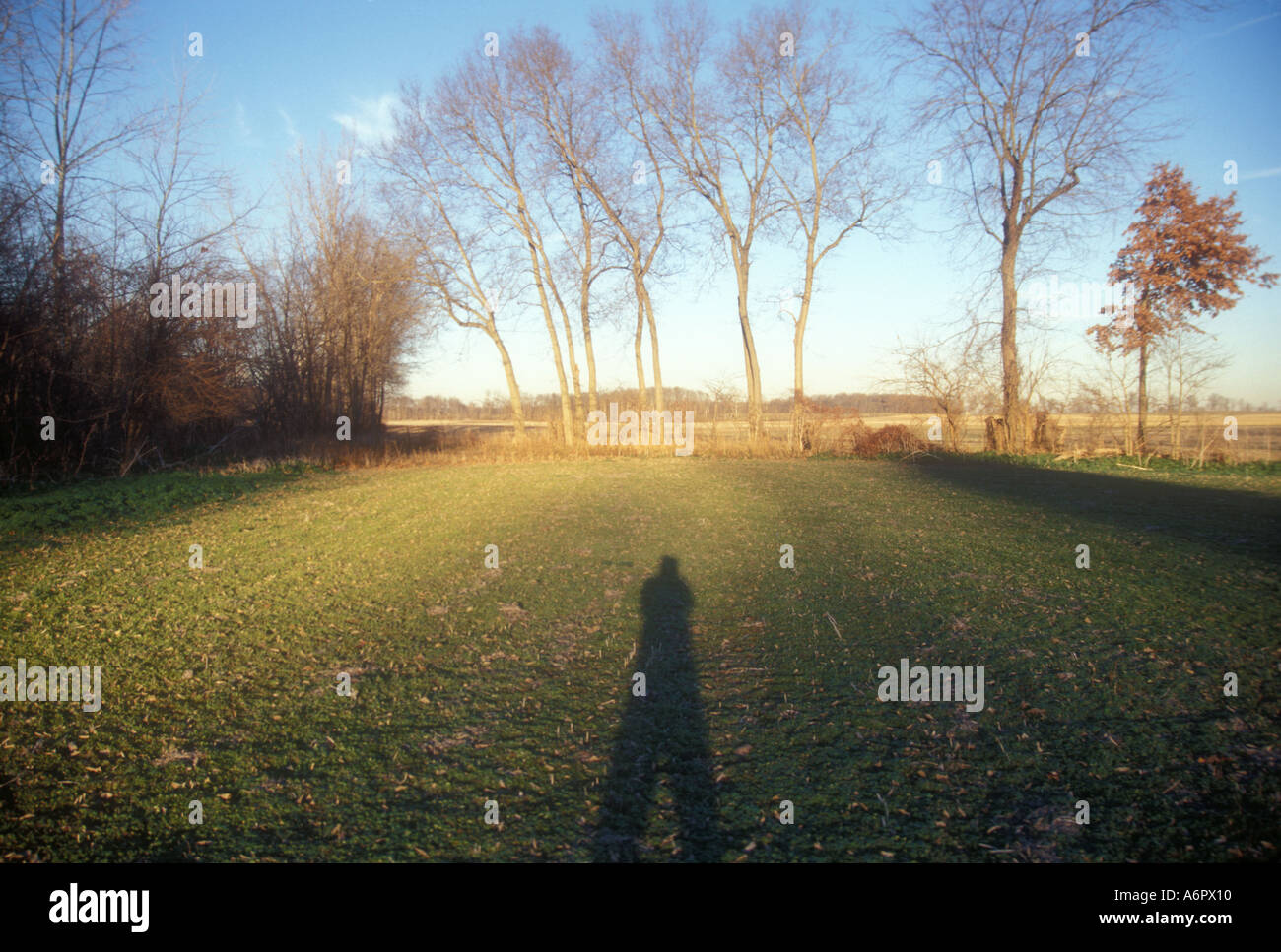 Nature shadow figure hi-res stock photography and images - Alamy