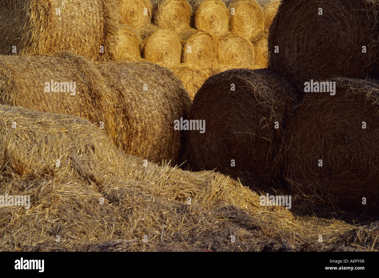 Round hay bails stacked on top of each other Stock Photo - Alamy