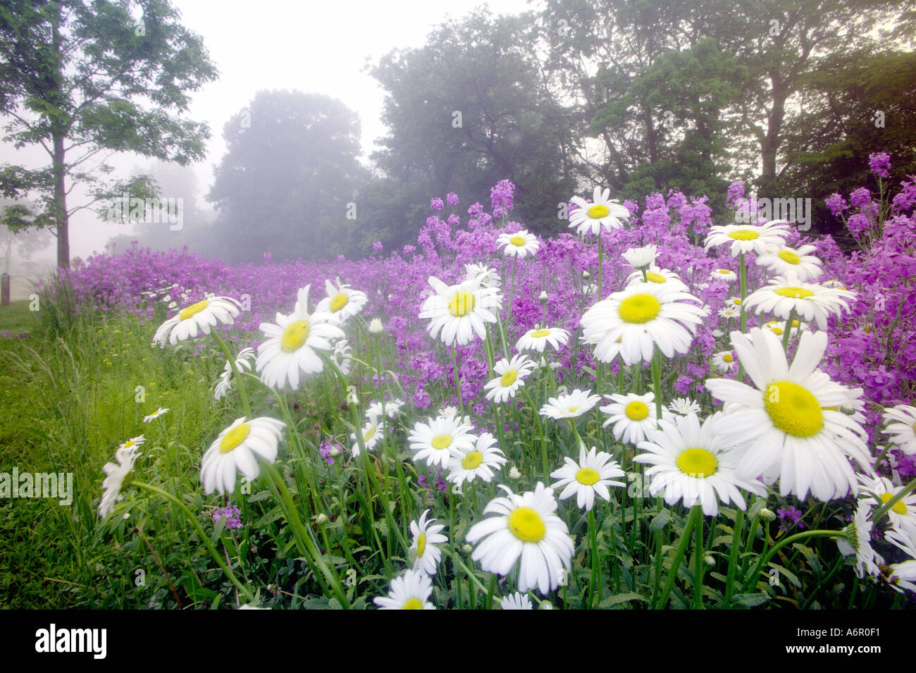 Perkiomen trail hi-res stock photography and images - Alamy