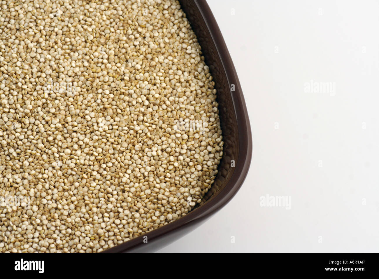 Quinua quinua hi-res stock photography and images - Alamy