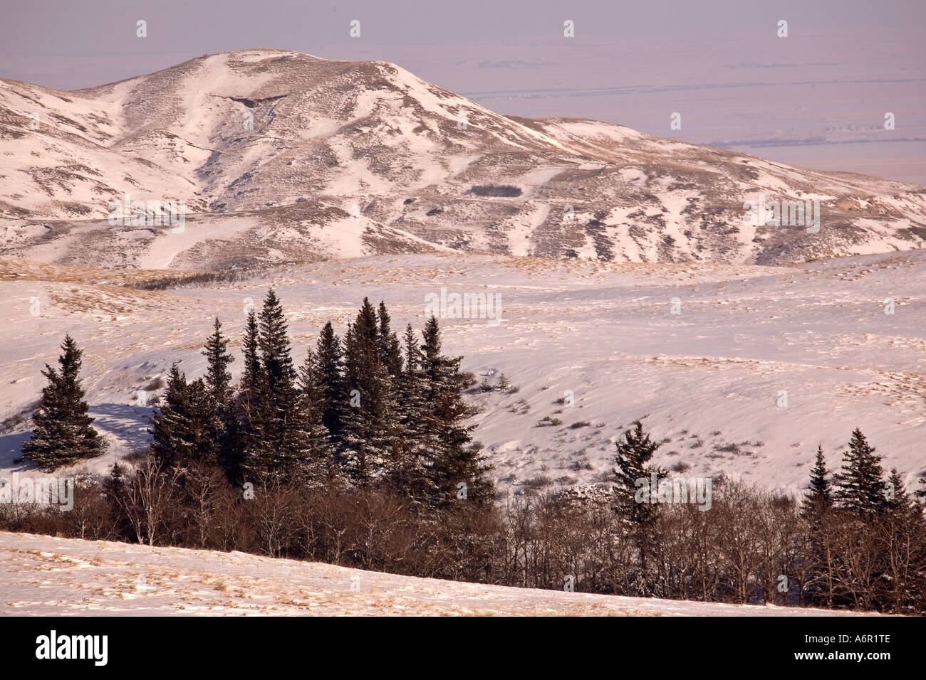 The snow covered hills north of Eastend in scenic Saskatchewan Canada ...