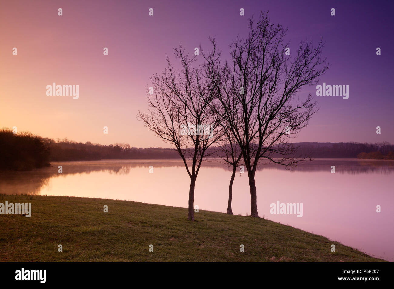 A calm and quiet sunrise behind trees along the shores of Blue Marsh ...