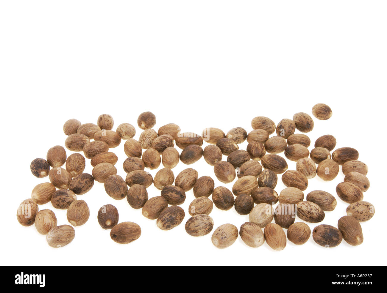 whole nutmeg nutmegs Stock Photo - Alamy