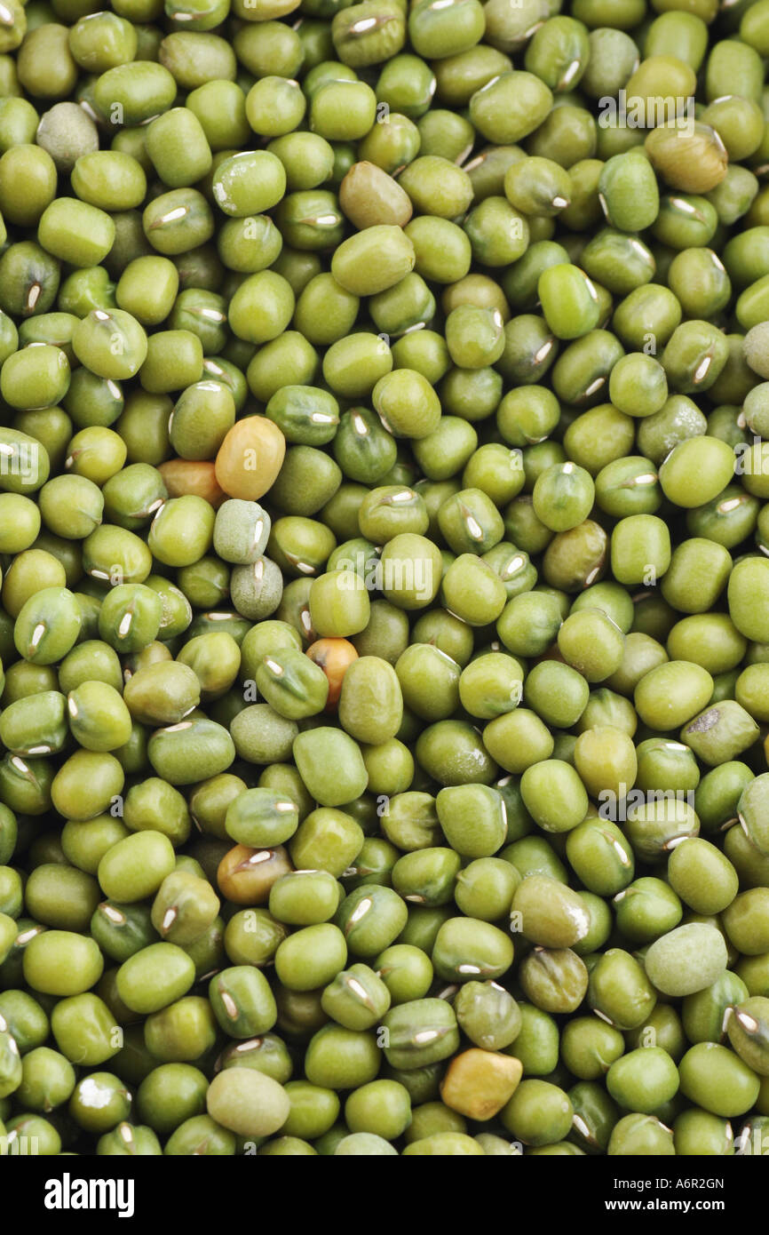 Munggo beans hi-res stock photography and images - Alamy