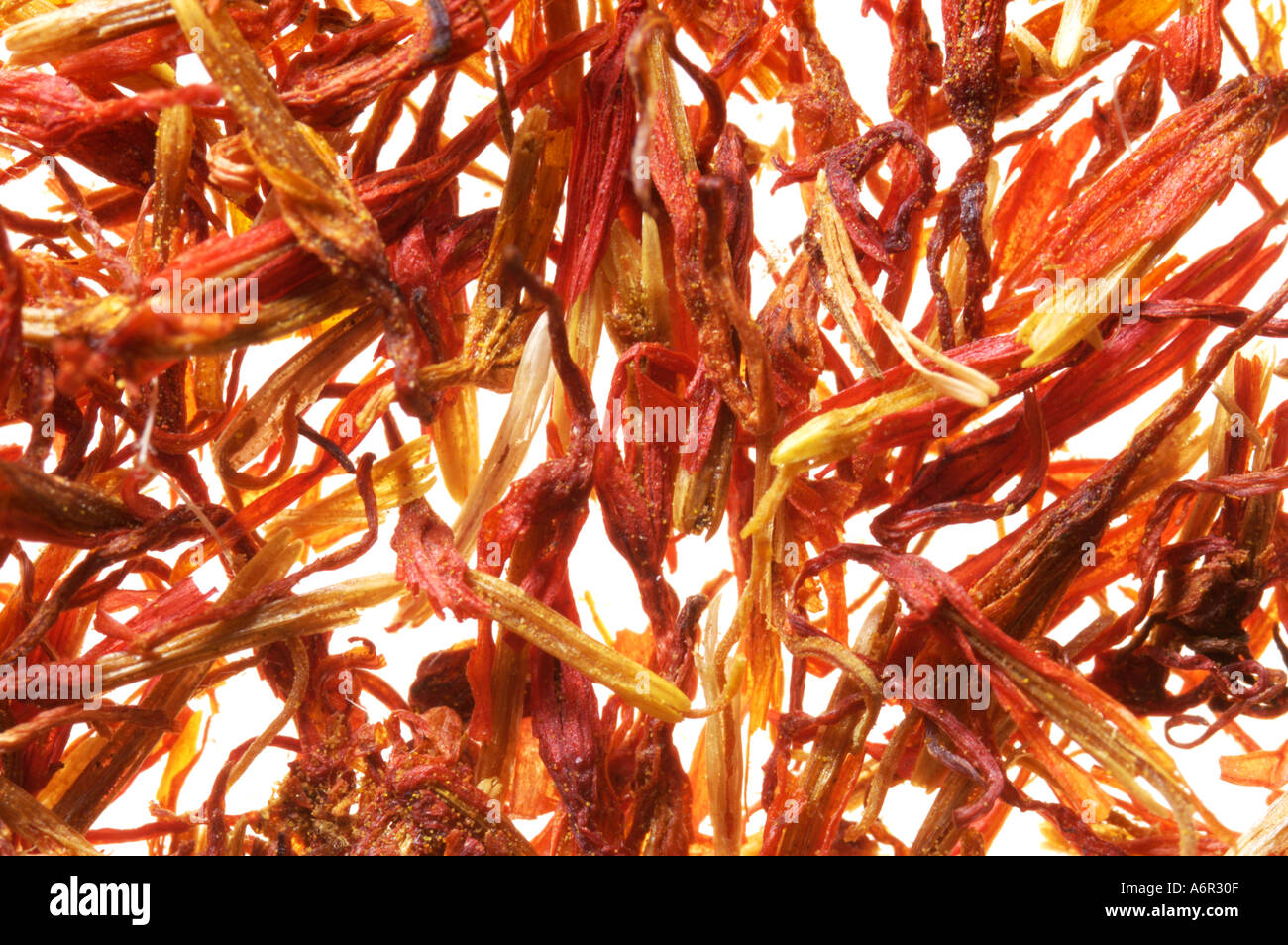 SAFFRON fibre MACRO foto indian suffon sufon Stock Photo - Alamy