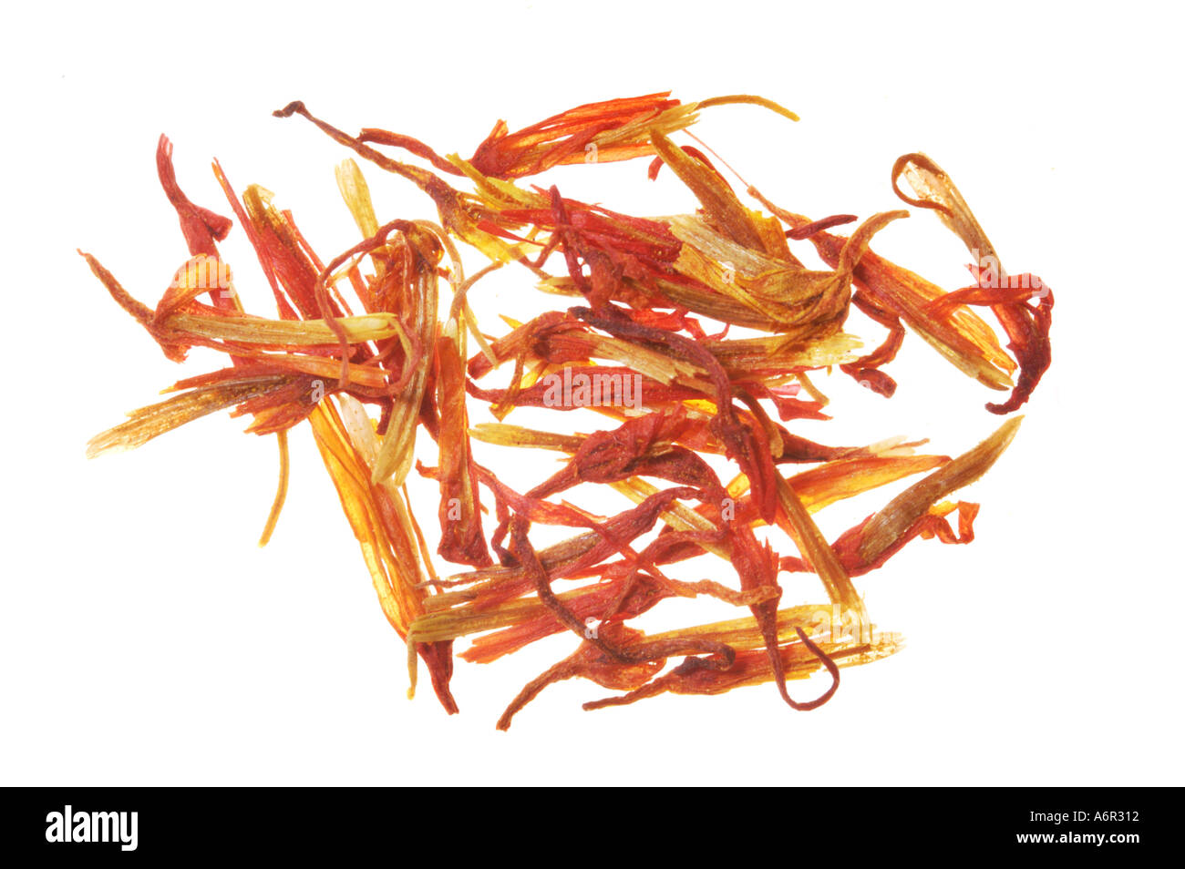 Safran Krokus High Resolution Stock Photography and Images - Alamy