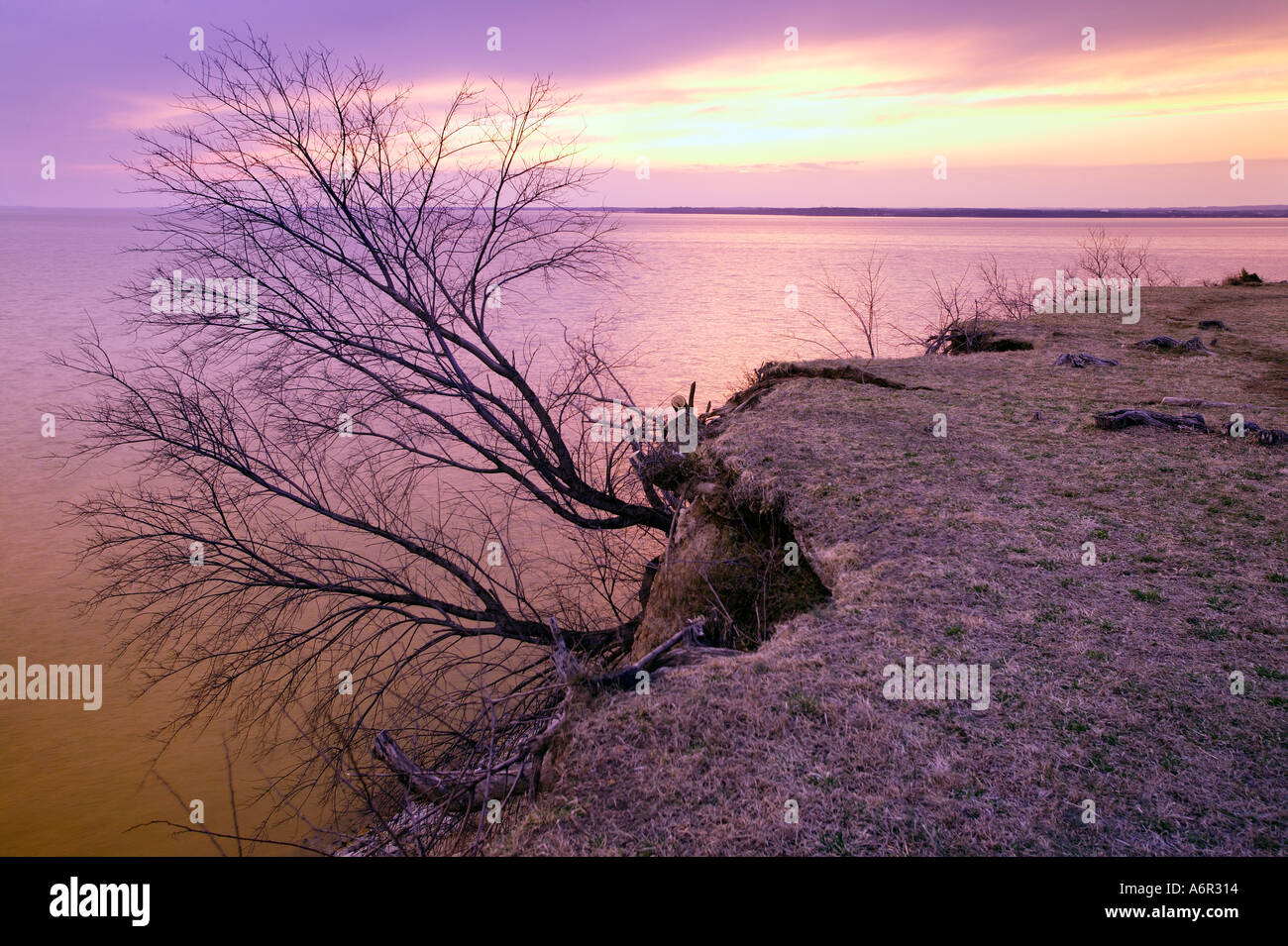 Trees grow off a steep cliff above the Chesapeake Bay at Elk Neck State ...
