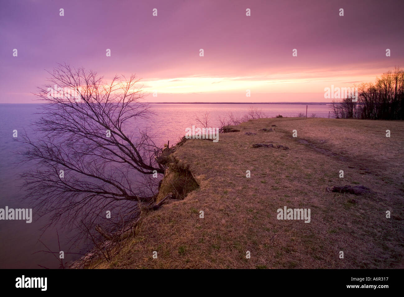 Trees grow off a steep cliff above the Chesapeake Bay at Elk Neck State ...