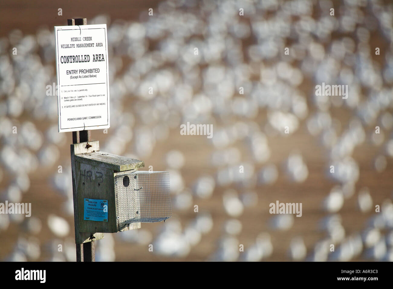 A bluebird nesting box and a warning sign sits in the foreground as ...