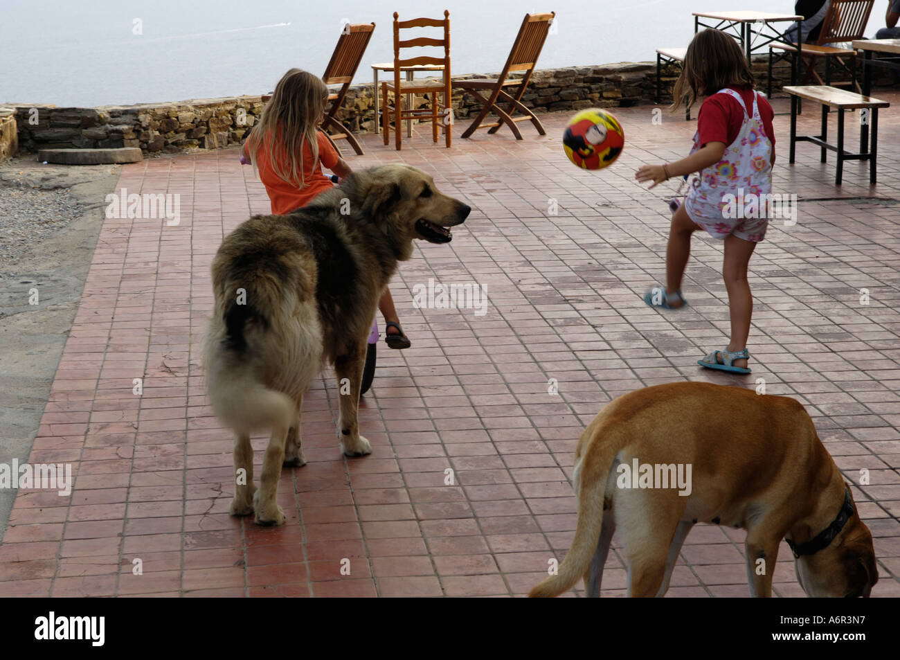 children playing, dogs Stock Photo - Alamy