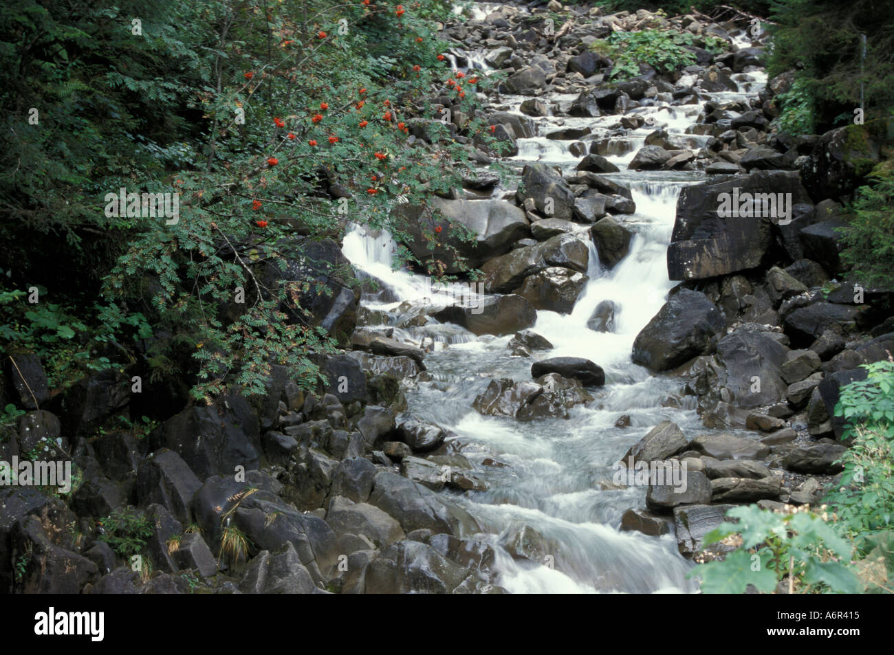 Rock rivulet hi-res stock photography and images - Alamy