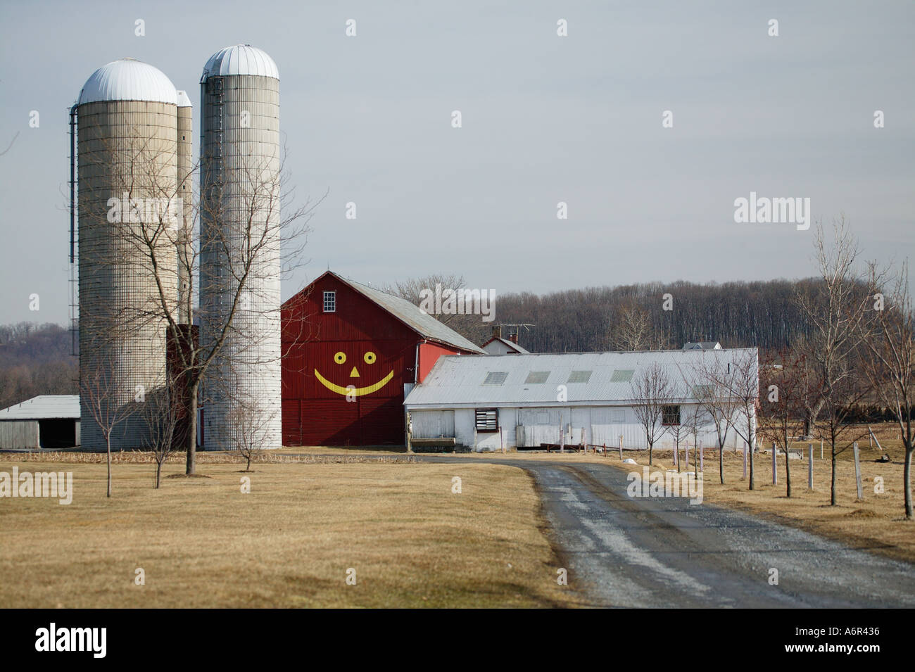 A bright red barn in Lebanon County Pennsylvania with a bright yellow ...