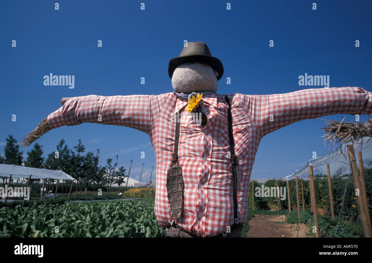 Woman scarecrow hi-res stock photography and images - Alamy