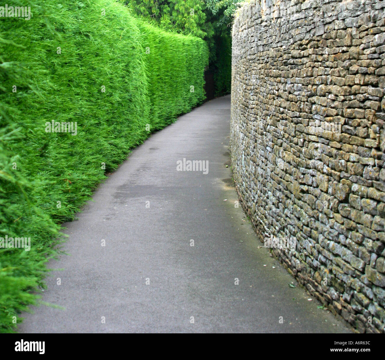 Pathway curving into distance Stock Photo - Alamy