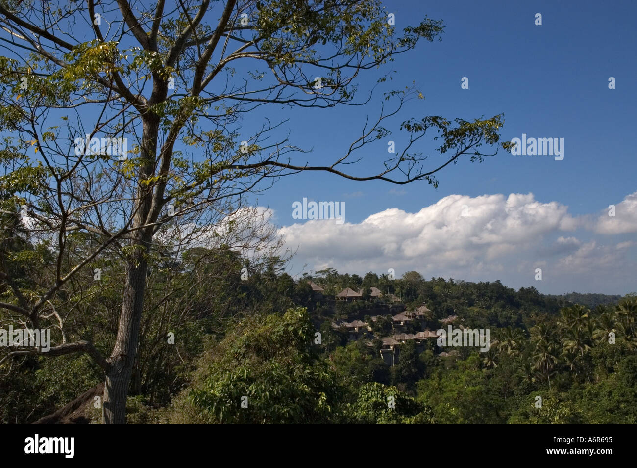 Ayung river bali hi-res stock photography and images - Alamy