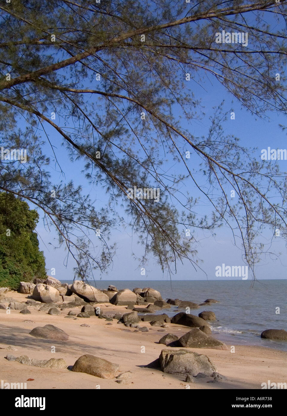 Batu Ferringhi Beach in Penang Malaysia Stock Photo - Alamy