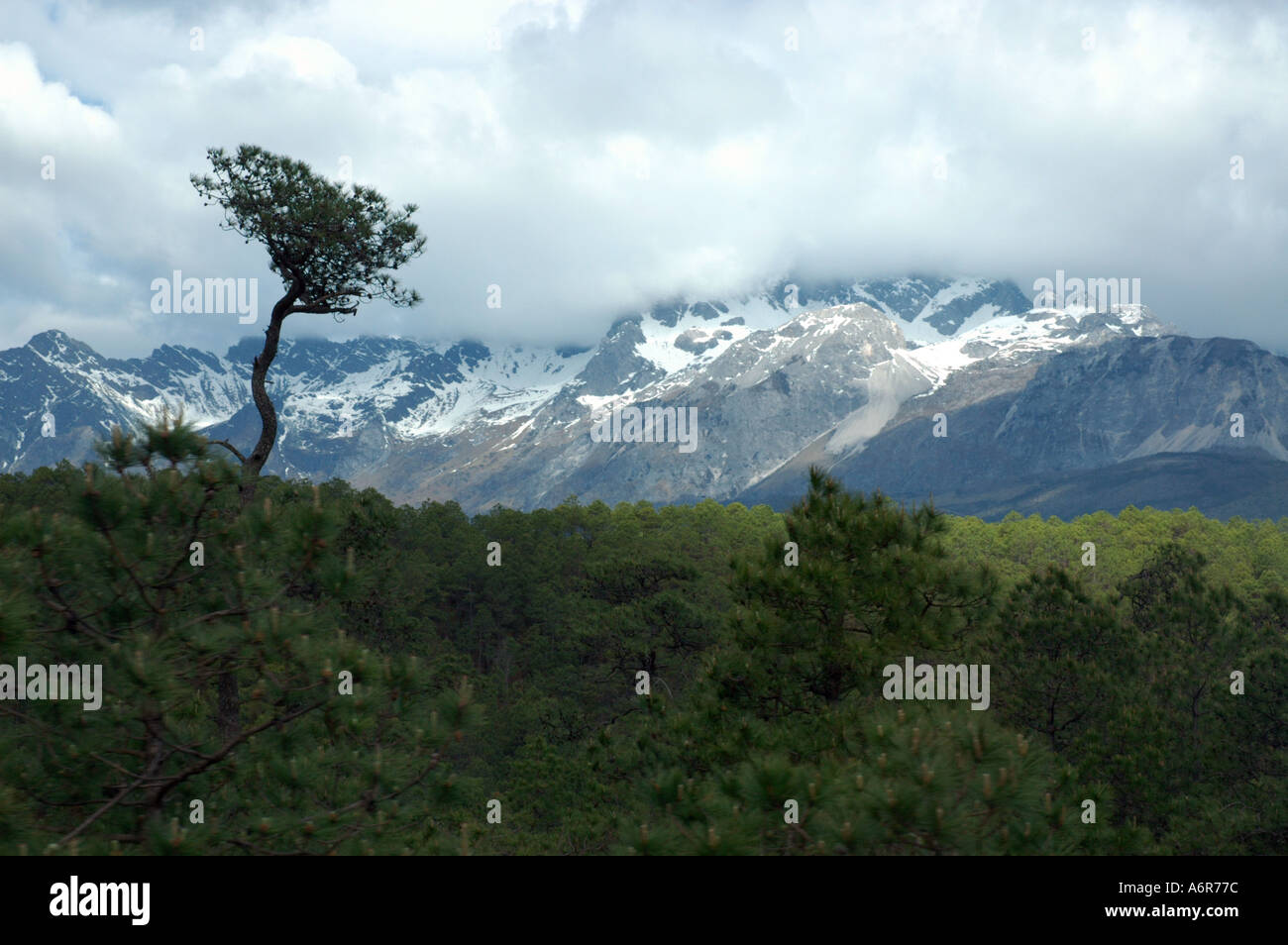 Lone tree mountain china hi-res stock photography and images - Alamy