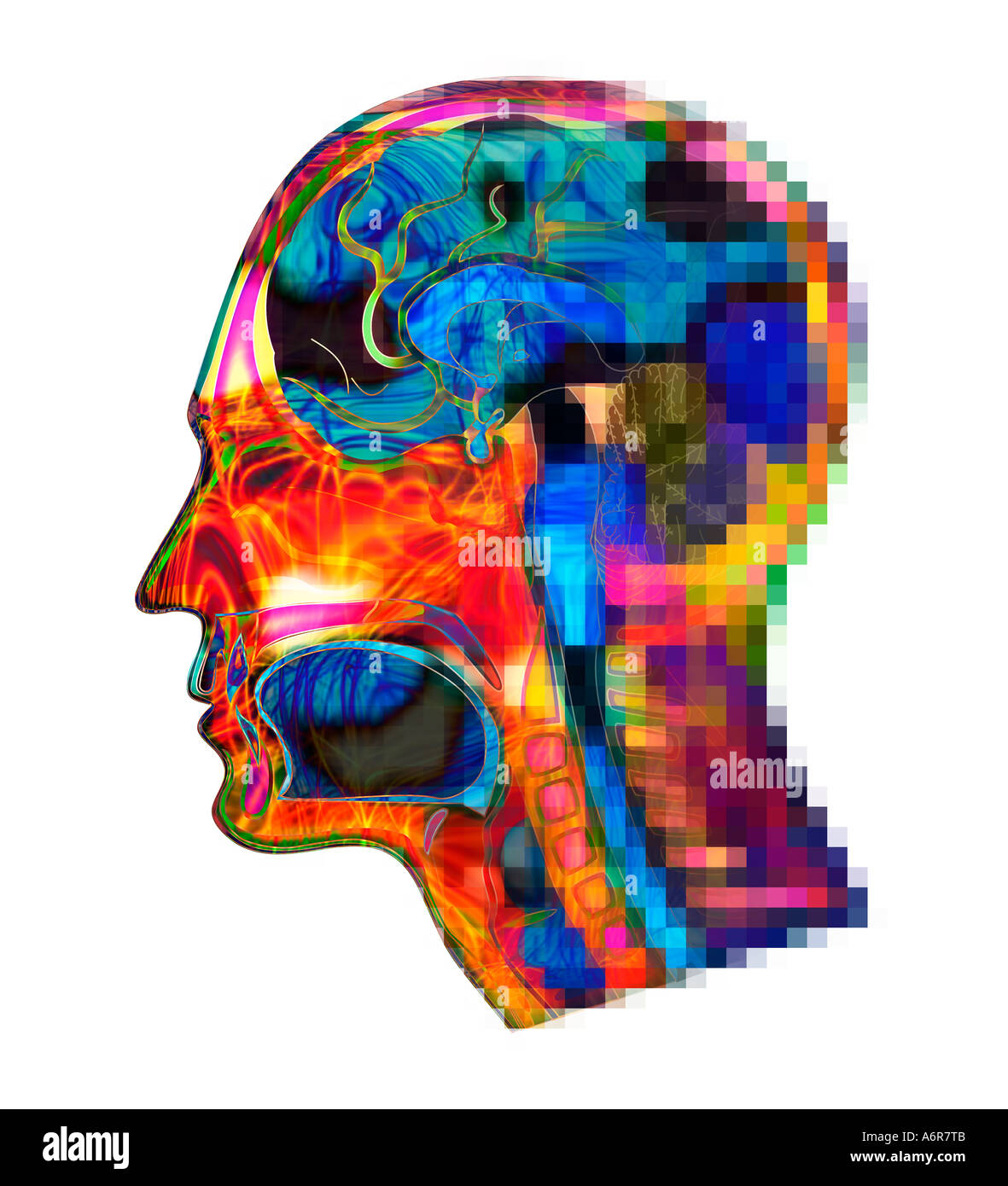 abstract color coded x-ray of human skull Stock Photo - Alamy