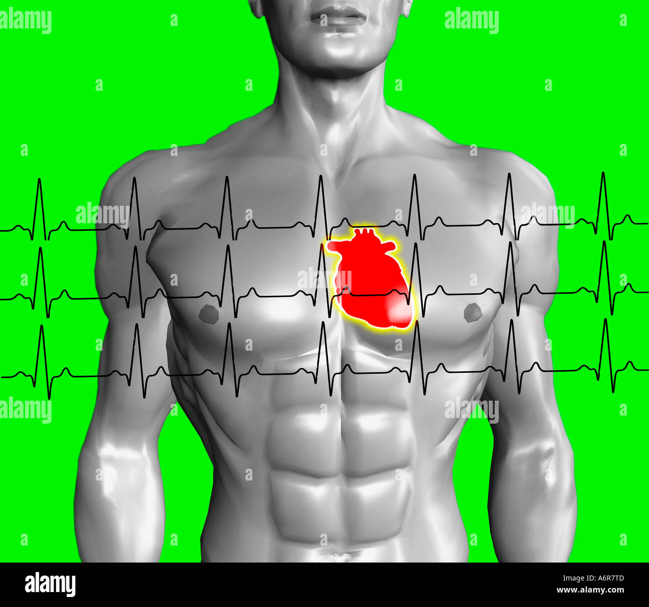 concept of 3D male robot torso with Electrocardiogram pattern and heart ...