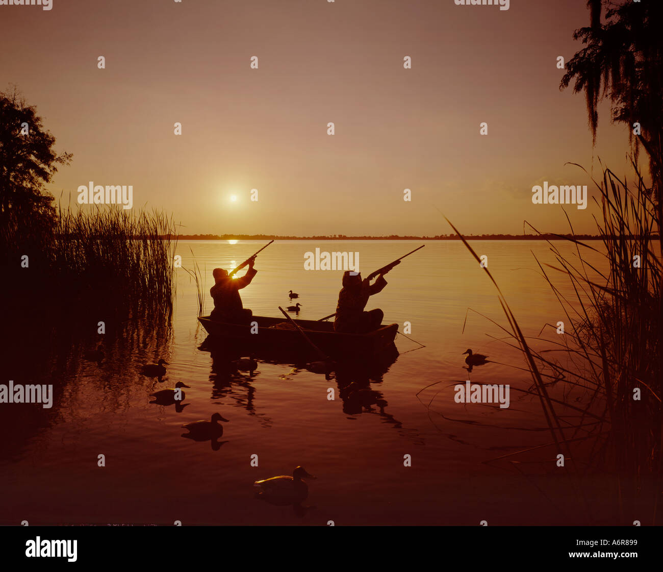 Two men hunting hi-res stock photography and images - Alamy