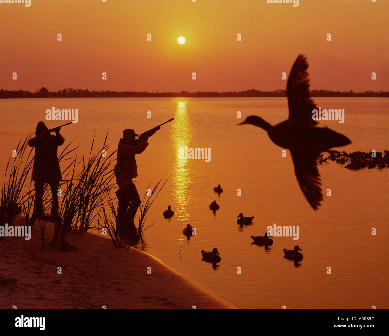 Two men hunting hi-res stock photography and images - Alamy