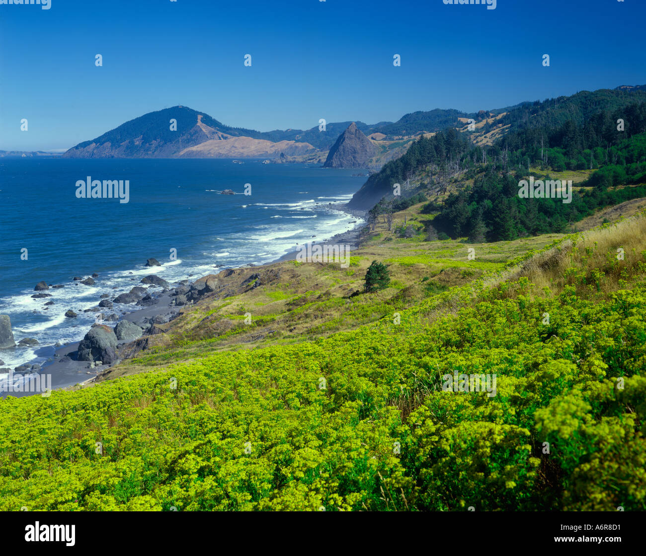 rocky beach on Oregon Coast USA Stock Photo - Alamy