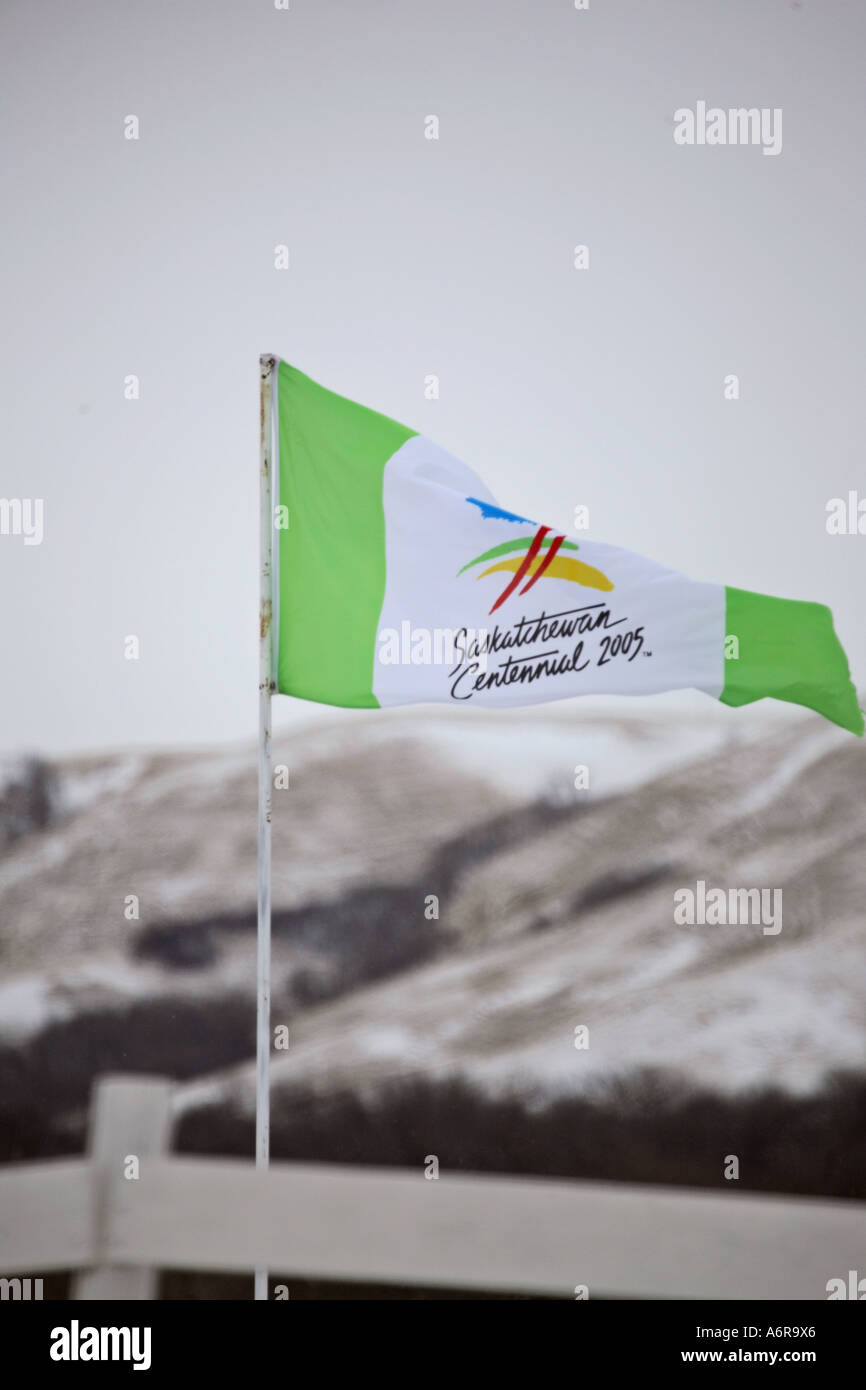 Centennial flag hi-res stock photography and images - Alamy