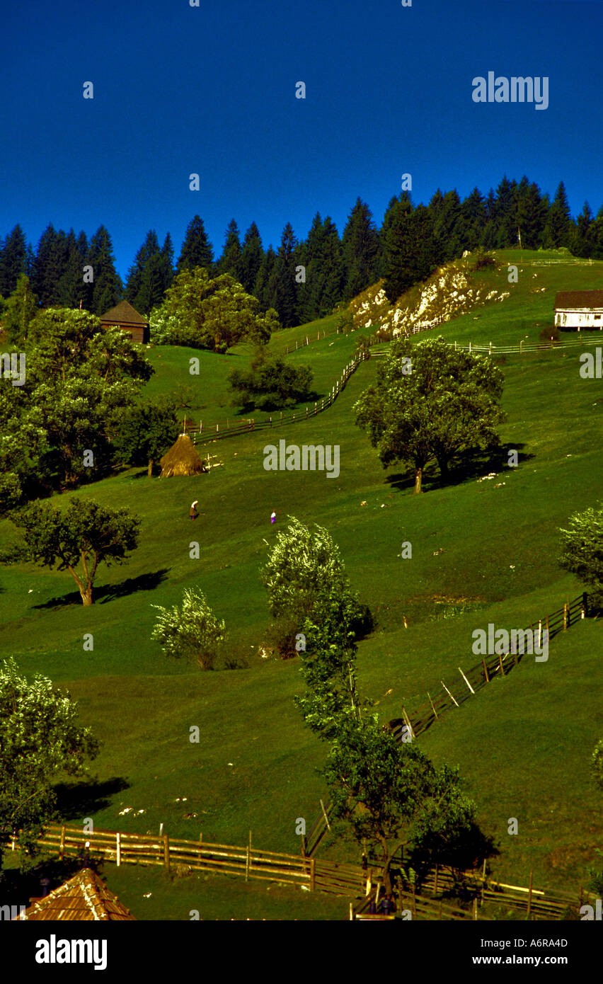 Romania rural mountain green hill landscape village Stock Photo - Alamy