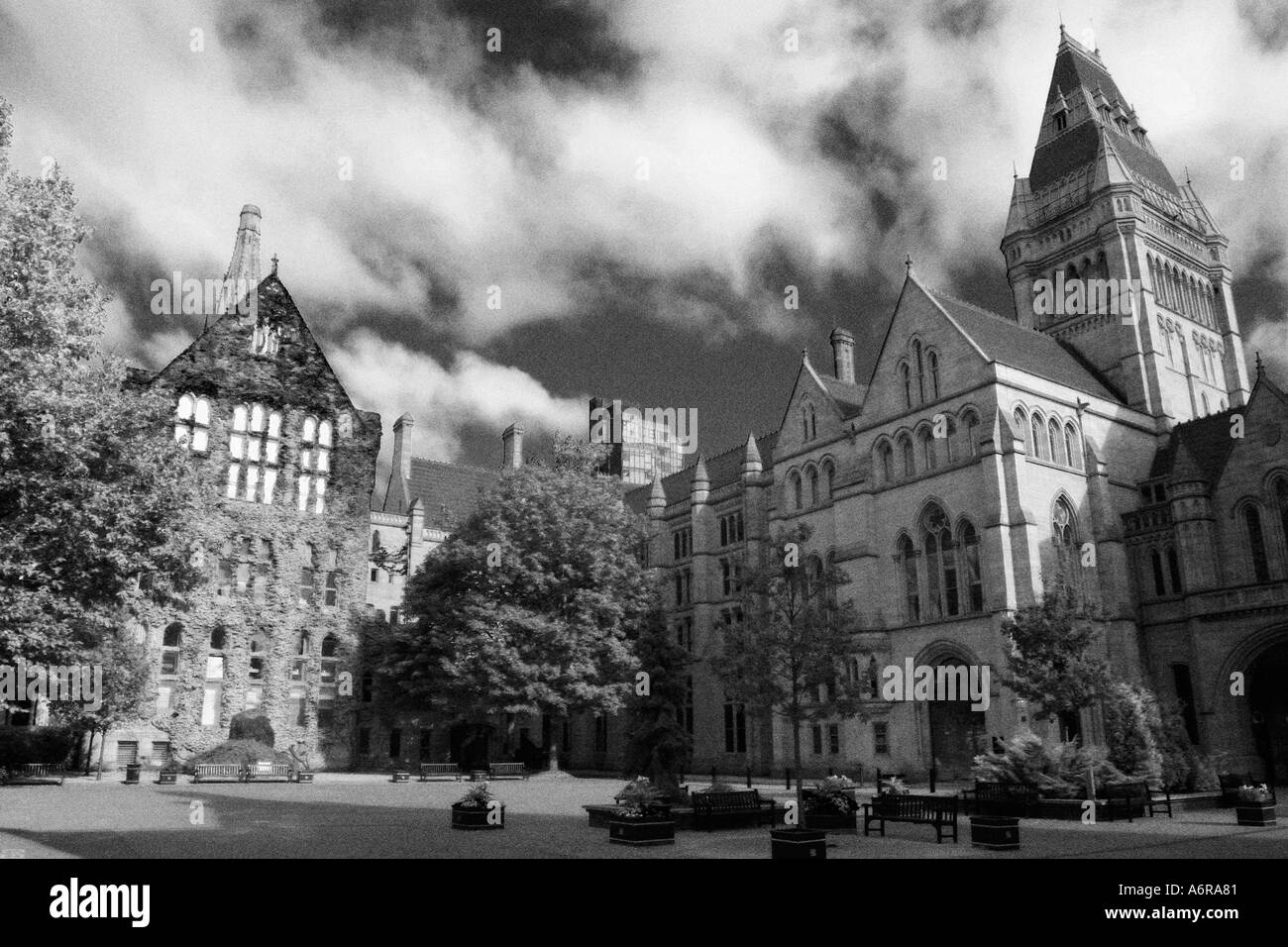 Manchester university phd Black and White Stock Photos & Images - Alamy