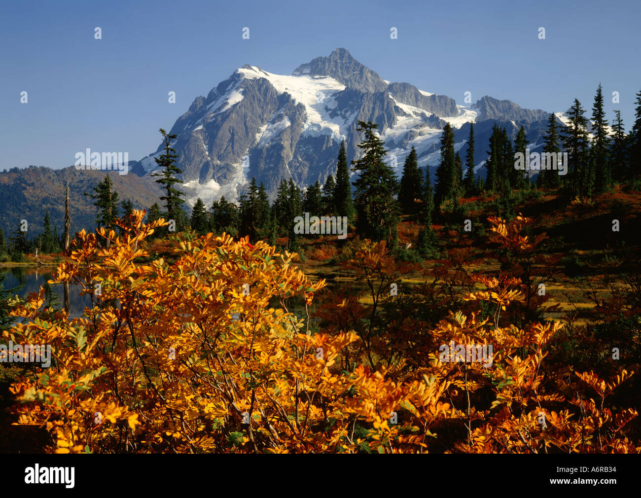 Mount Shuksan in the Washington Cascade Mountains seen in autumn with ...