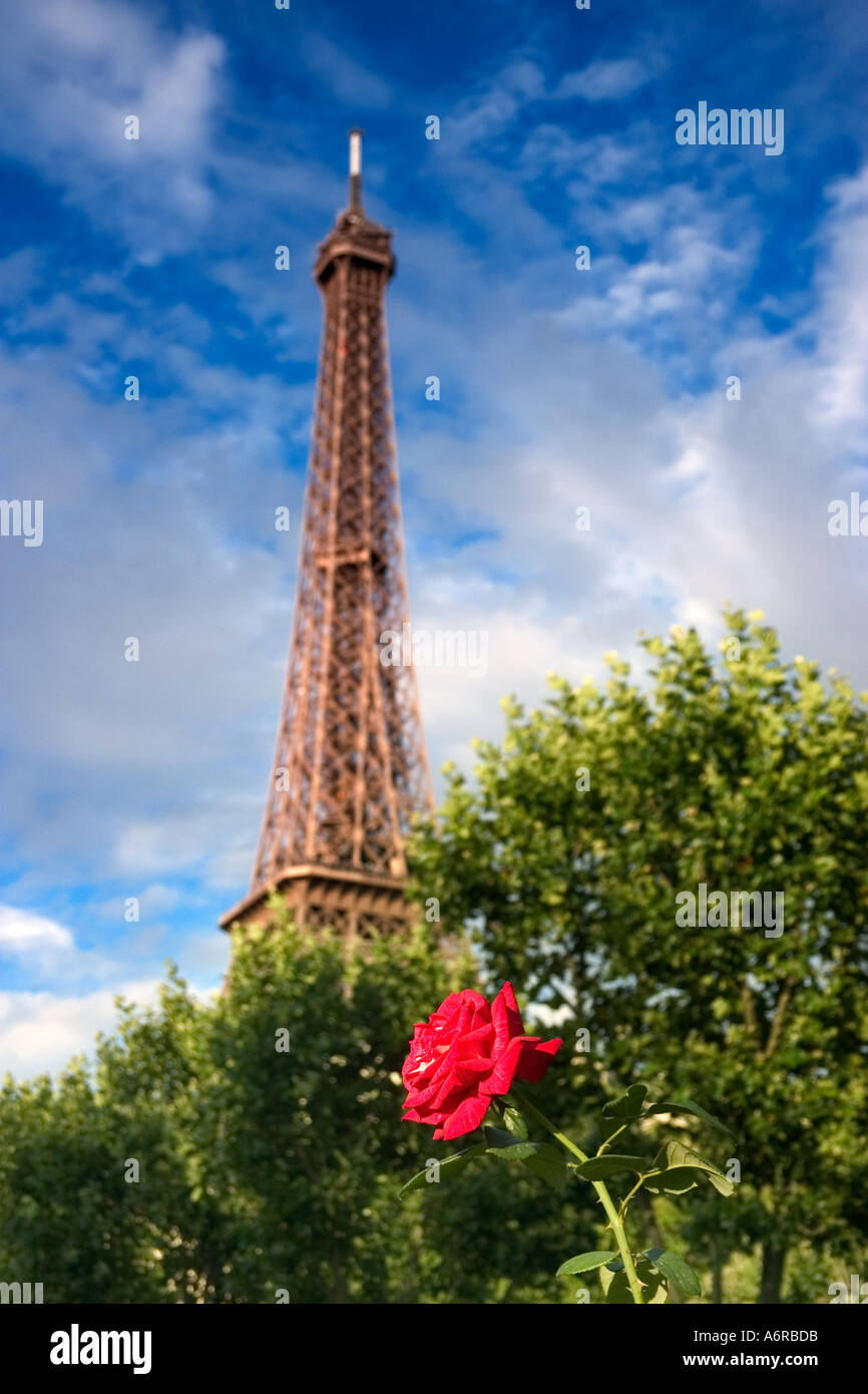 Red rose eiffel tower hi-res stock photography and images - Alamy