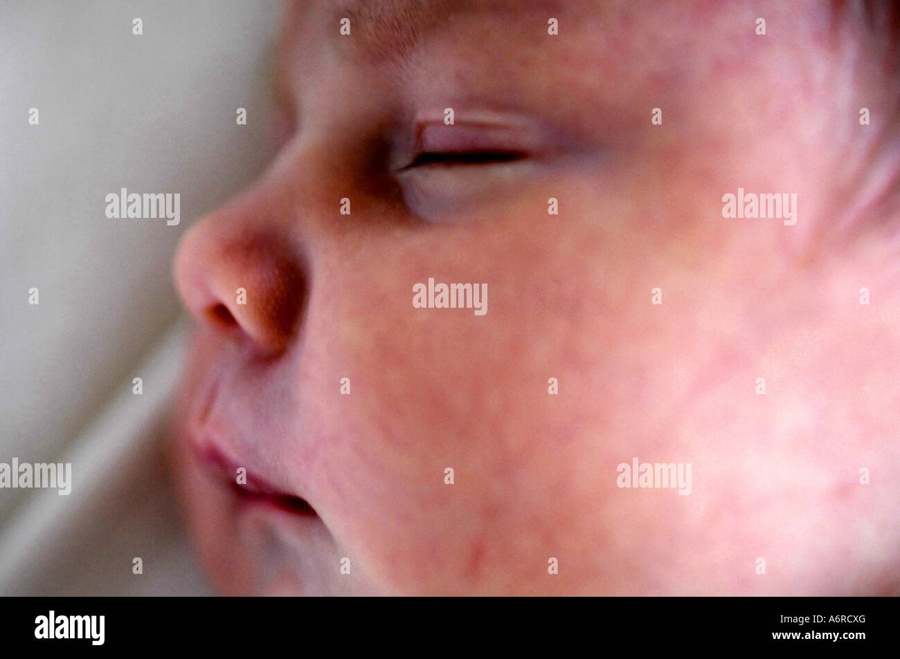 baby portrait close up detail nose mouth caucasian newborn infancy ...