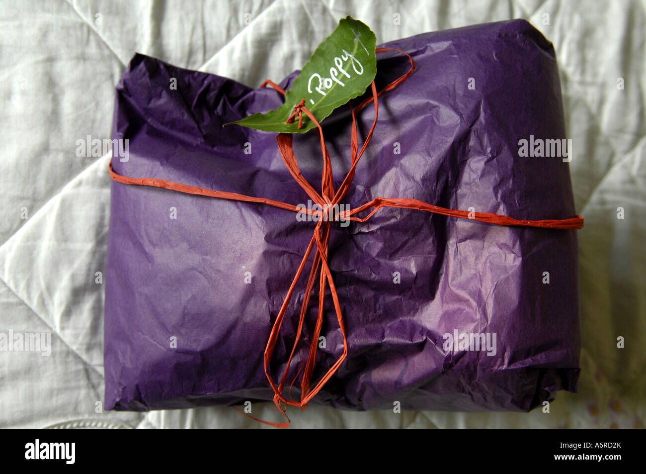 present gift giftwrapped wrapping purple to poppy girls female Stock ...