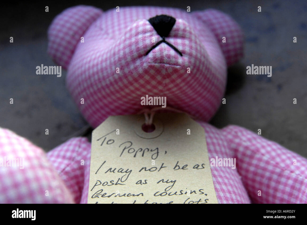 baby's pink teddy with label Stock Photo - Alamy