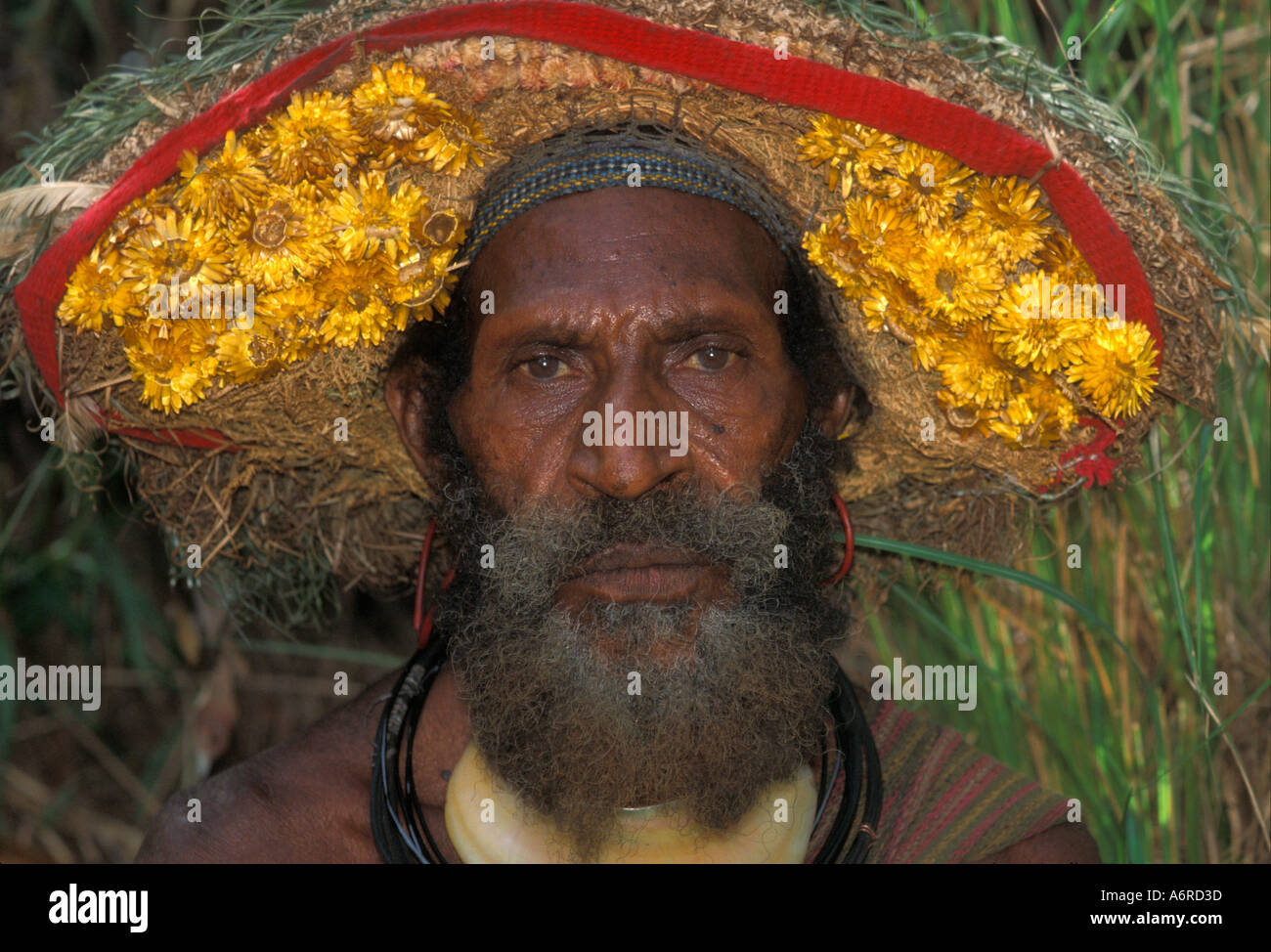 PAPUA NEW GUINEA Huli Wigman Tribesman at sing sing Tari Southern ...