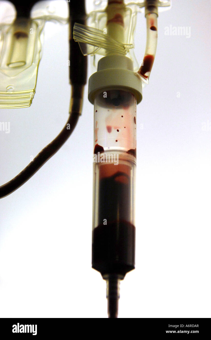 blood transfusion hospital medical medicine health care colour color ...