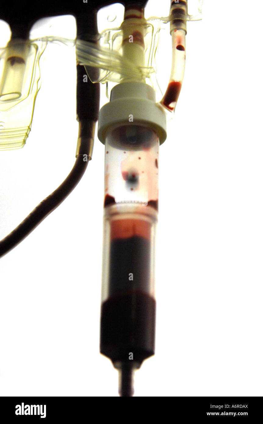 blood transfusion hospital medical medicine health care colour color ...