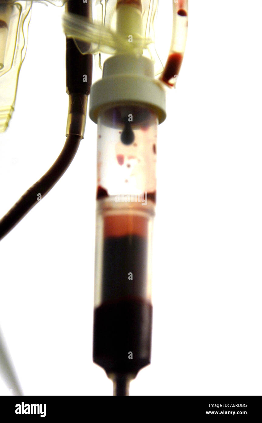 blood transfusion hospital medical medicine health care colour color ...