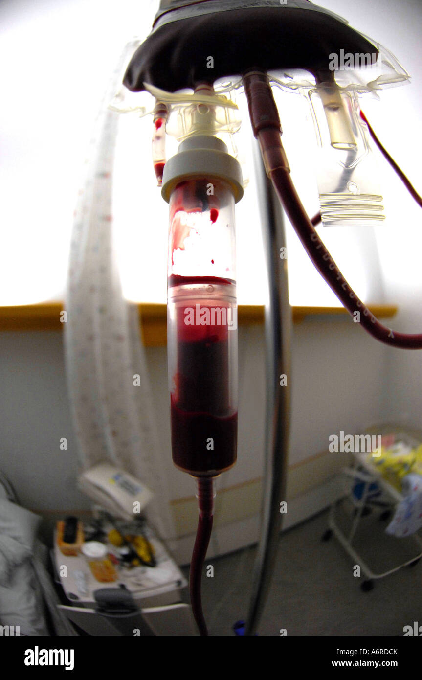 blood transfusion hospital medical medicine health care colour color ...