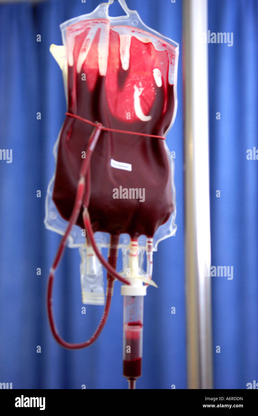 blood transfusion hospital medical medicine health care colour color ...