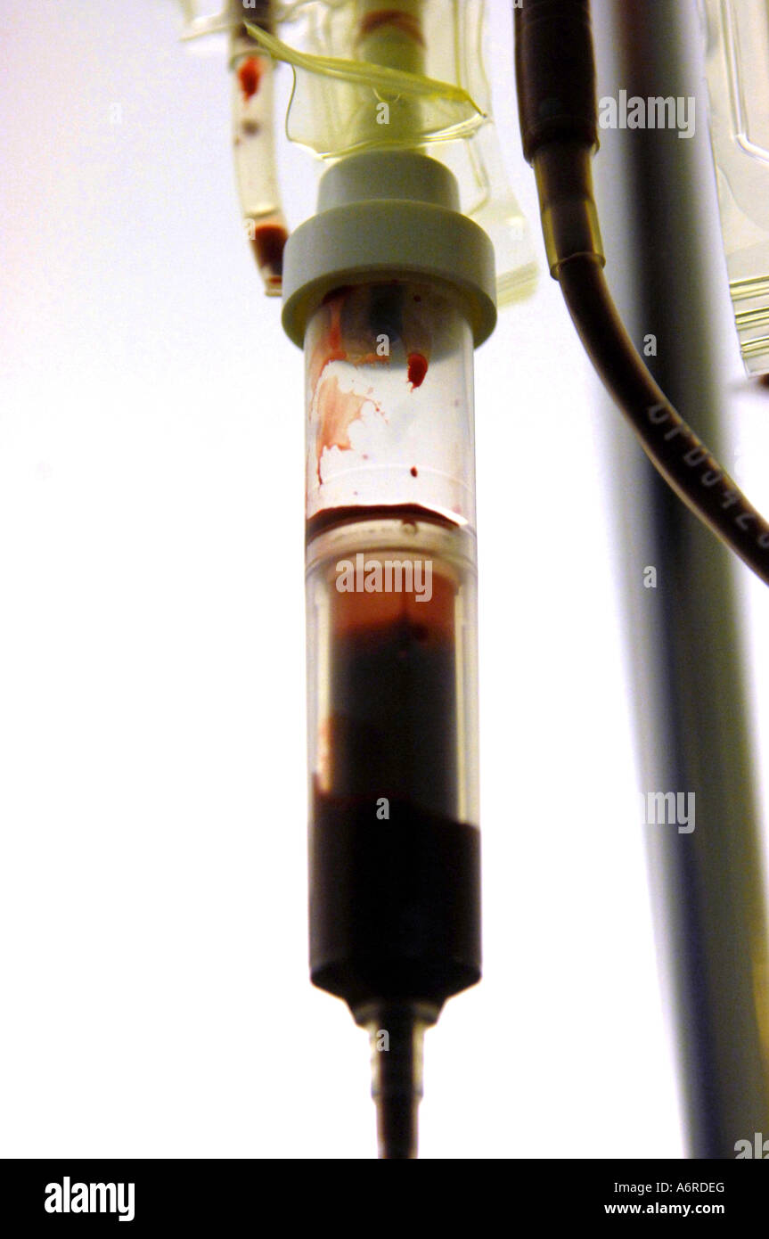 blood transfusion hospital medical medicine health care colour color ...