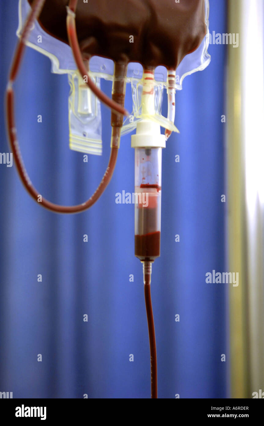 blood transfusion hospital medical medicine health care colour color ...
