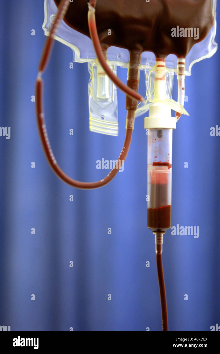 blood transfusion hospital medical medicine health care colour color ...