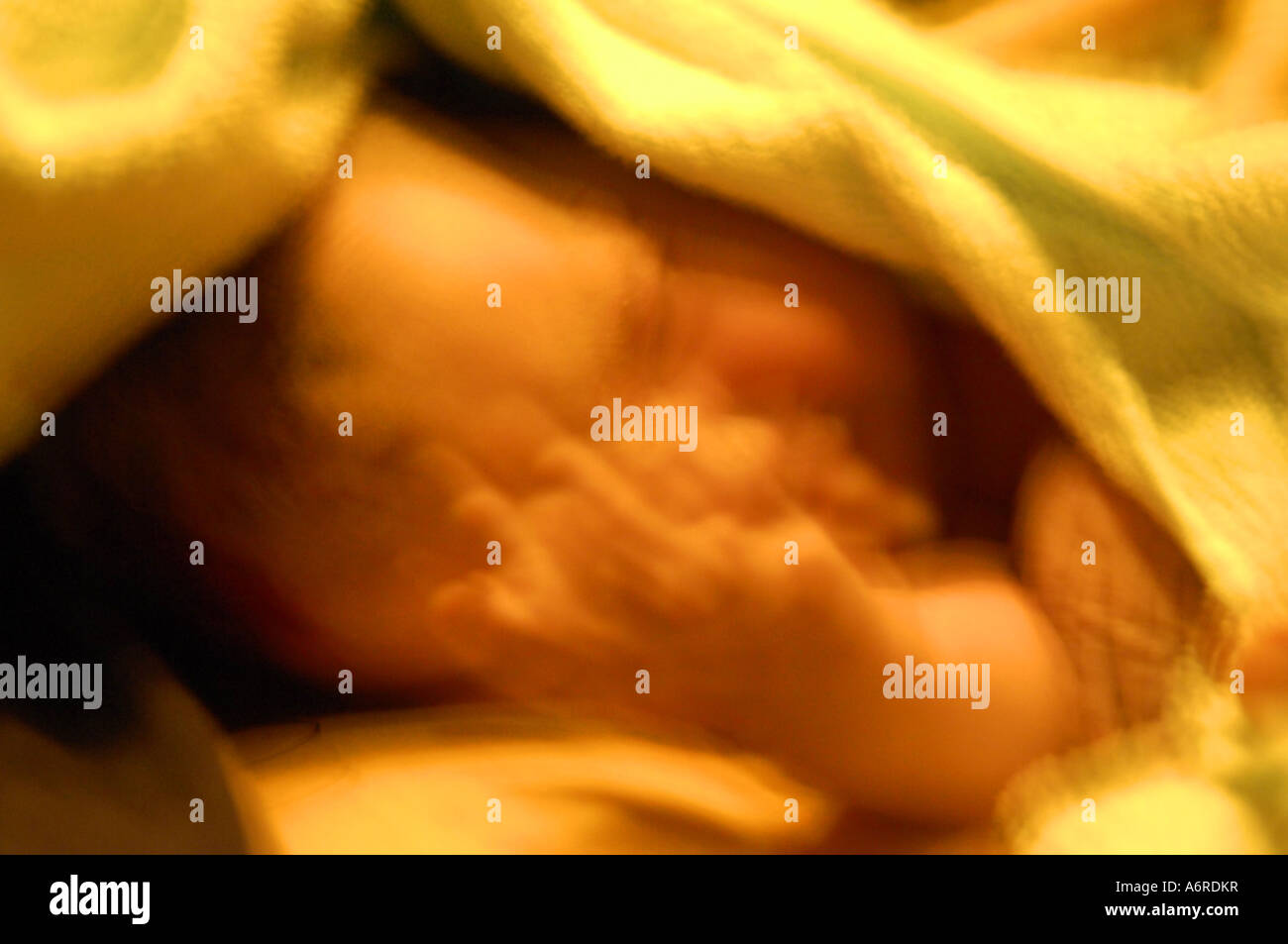 newborn baby face medical birth horizontal childbirth colour color ...