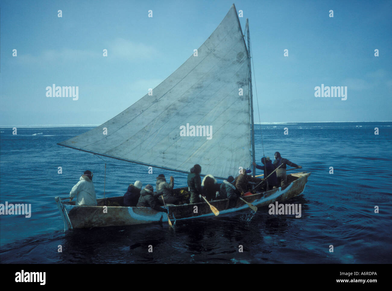 Skinboat sailing for bowhead whale hunt, Bering Sea, Alaska Stock Photo ...