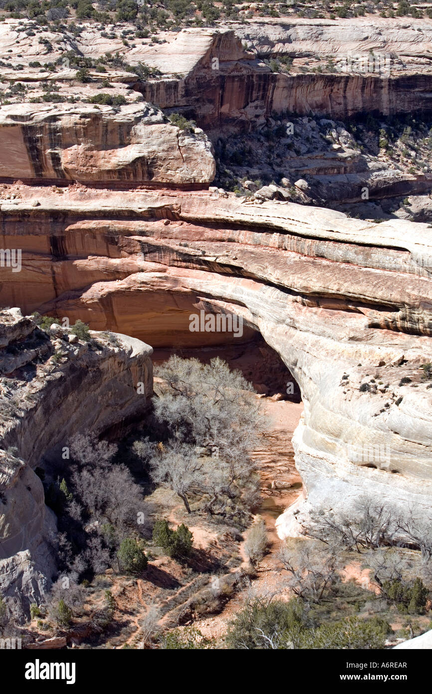 Natural Bridges Kachina Bridge in Natural Bridges National Monument ...