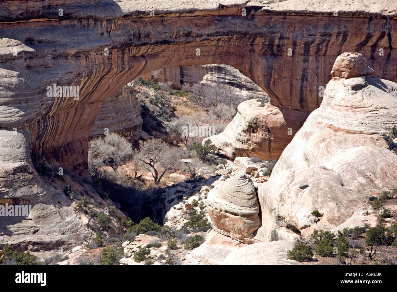 Cedar bridges hi-res stock photography and images - Alamy
